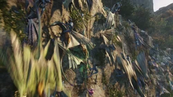 Clan Tayrangi | Avatar Wiki | Fandom