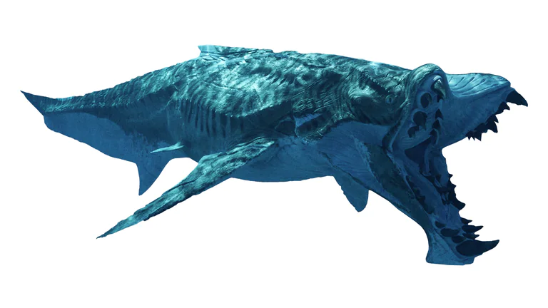 Akula | Avatar Wiki | Fandom