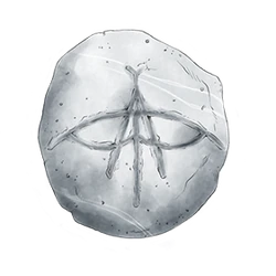 Clan Kekunan | Avatar Wiki | Fandom