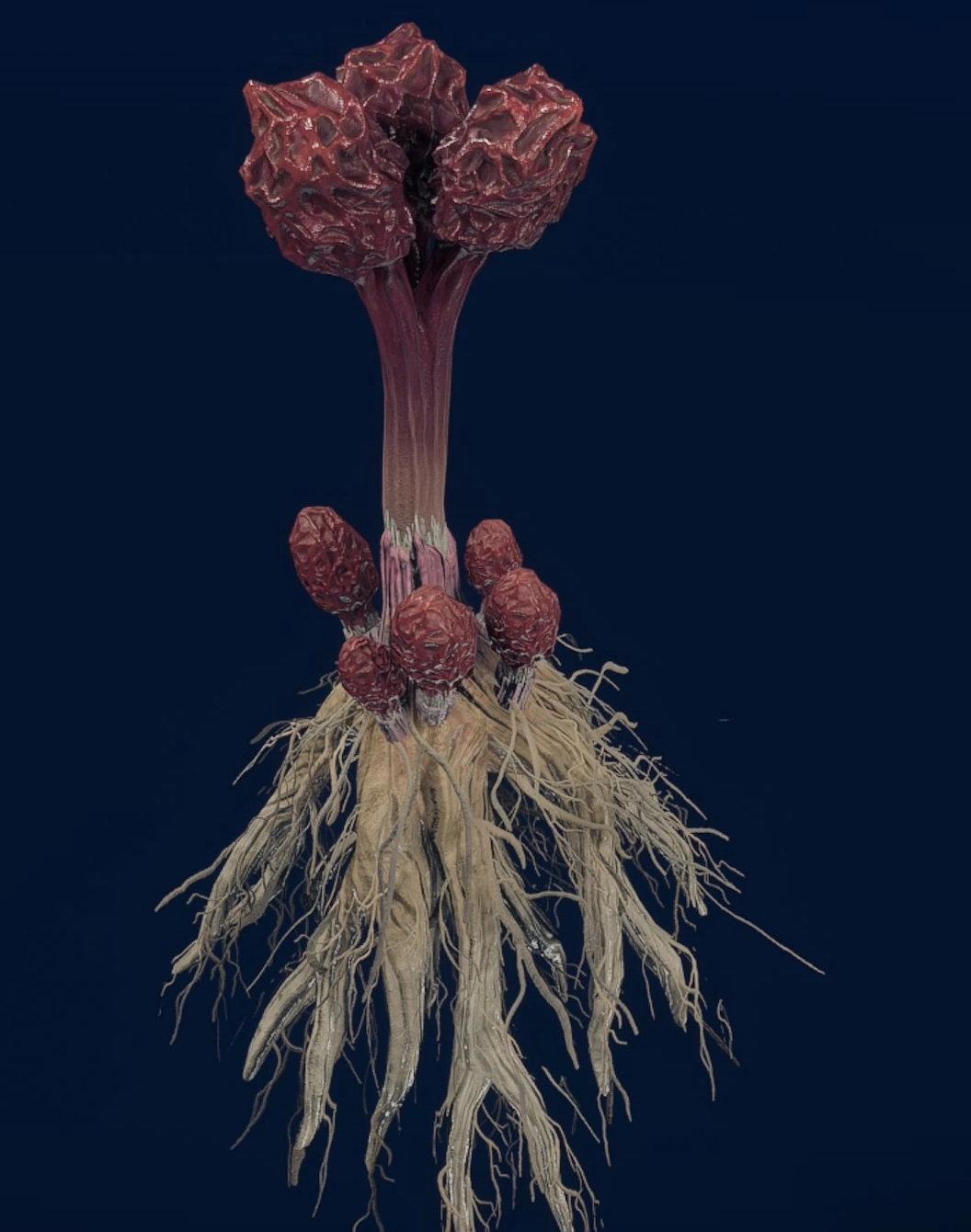 Karmazynowy grzyb | Avatar Wiki | Fandom