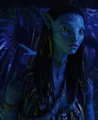 Clan Omatikaya | Avatar Wiki | Fandom