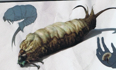 Teylu | Avatar Wiki | Fandom