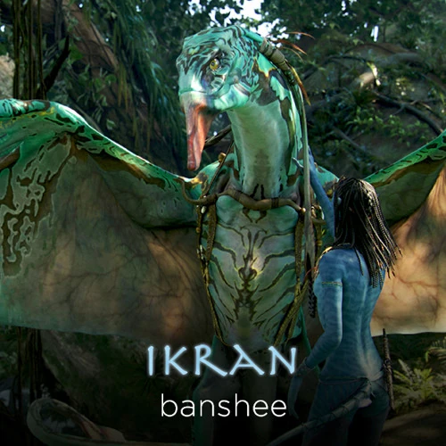 Seze | Avatar Wiki | Fandom