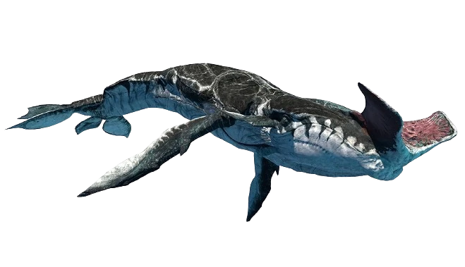 Tulkun | Avatar Wiki | Fandom