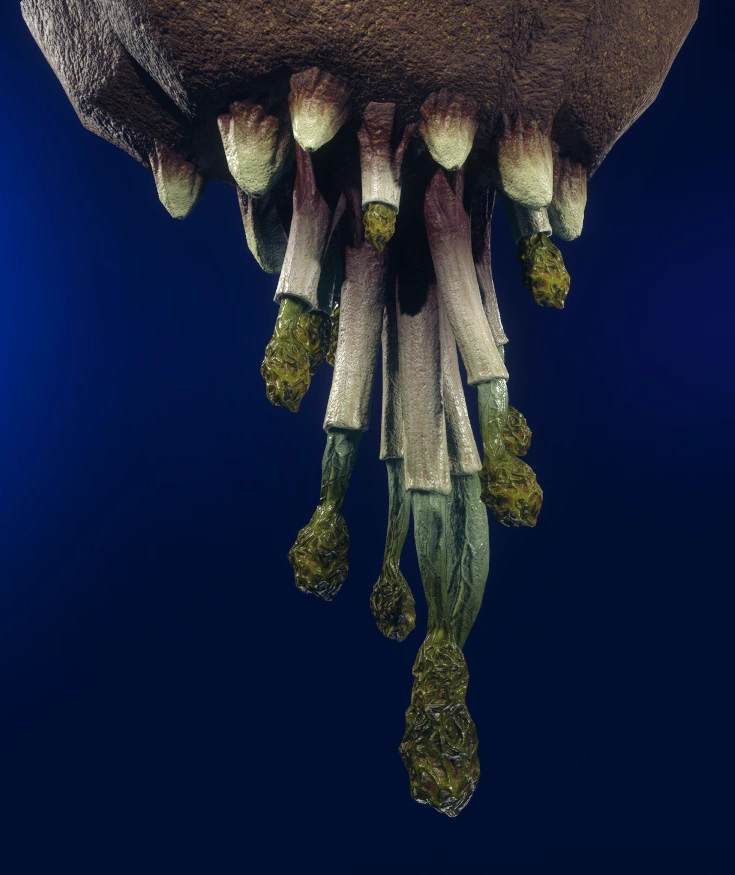 Winny grzyb | Avatar Wiki | Fandom