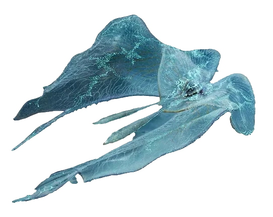 Skrzelopłaszcz | Avatar Wiki | Fandom