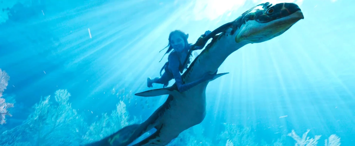 Ilu | Avatar Wiki | Fandom