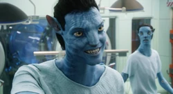 Jake Sully | Avatar Wiki | Fandom