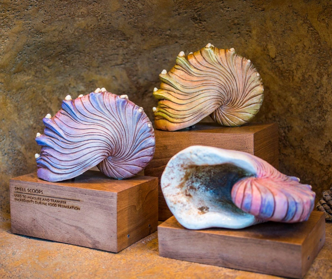 Miarka z muszli | Avatar Wiki | Fandom