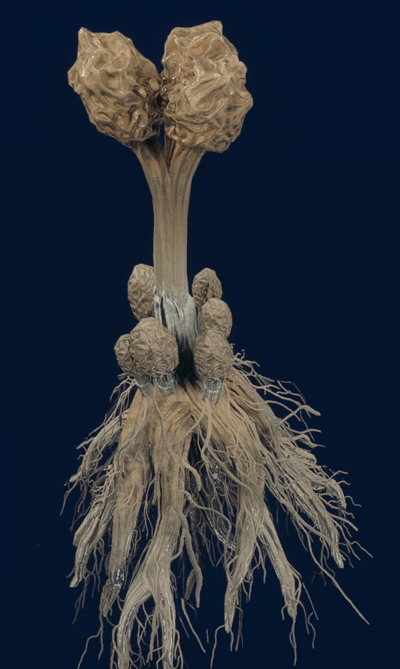 Grzyb biesiadny | Avatar Wiki | Fandom