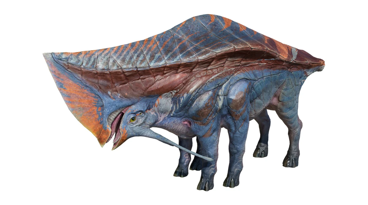 Ostrzołeb | Avatar Wiki | Fandom