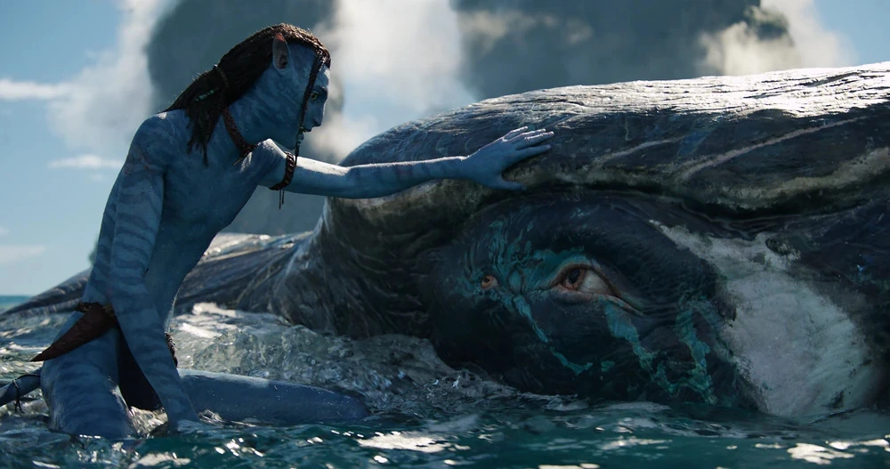 Tulkun | Wiki Avatar (film) | Fandom