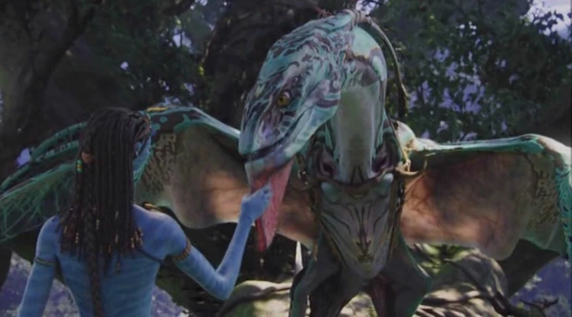 Seze | Avatar Wiki | Fandom