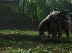 Tapirus | Avatar Wiki | Fandom