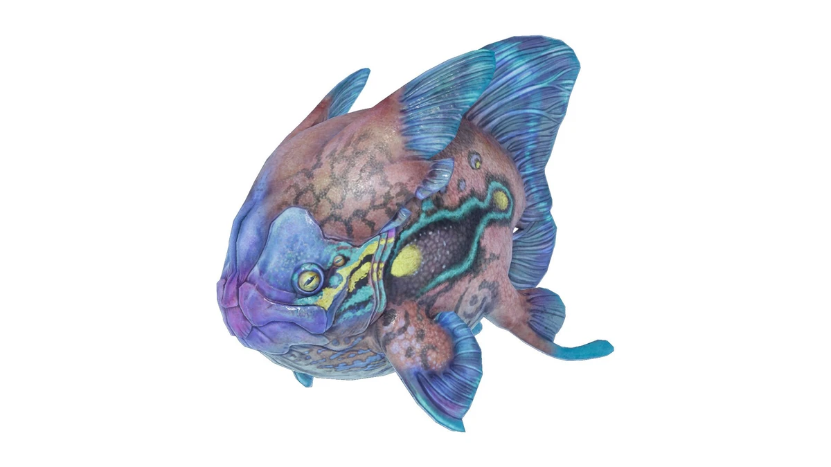 Ryba skalnodzioba | Avatar Wiki | Fandom
