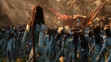 Neytiri | Avatar Wiki | Fandom