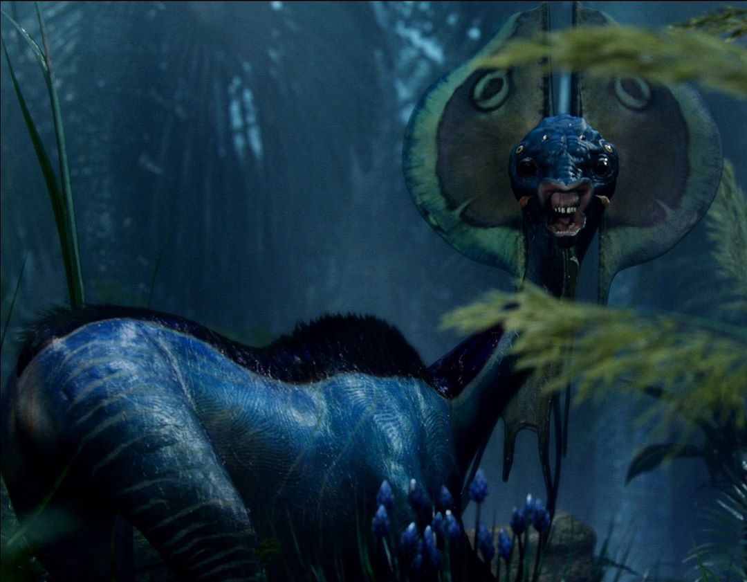 Hexapede | Avatar Wiki | Fandom