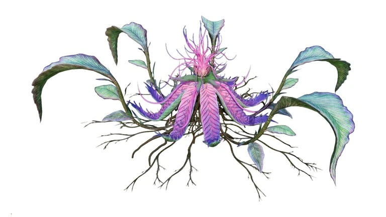 Tarsyu | Avatar Wiki | Fandom