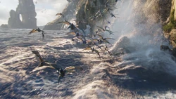 Clan Tayrangi | Avatar Wiki | Fandom
