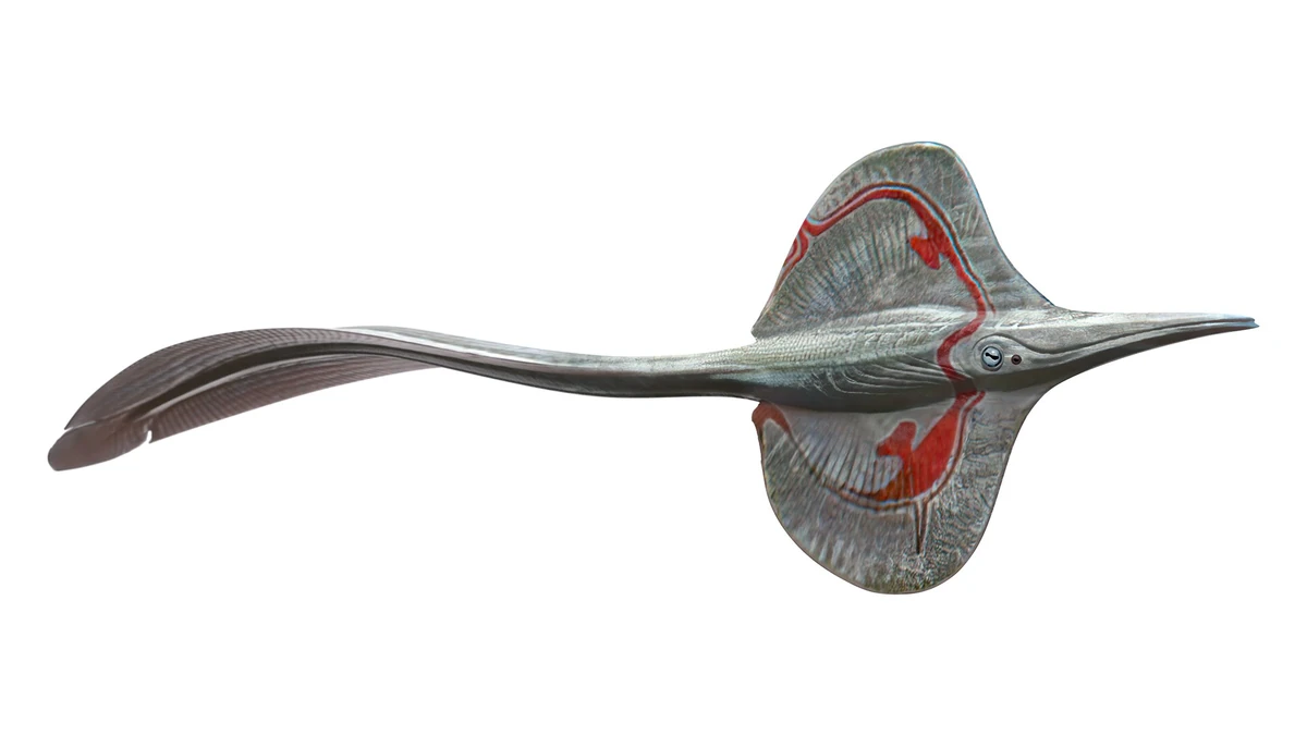 Ryba pióroogonowa | Avatar Wiki | Fandom