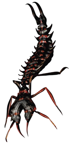 Arachnoid | Avatar Wiki | Fandom
