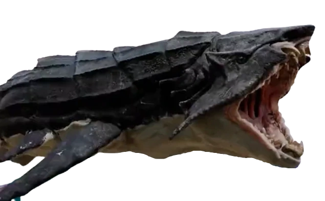 Nalutsa | Avatar Wiki | Fandom