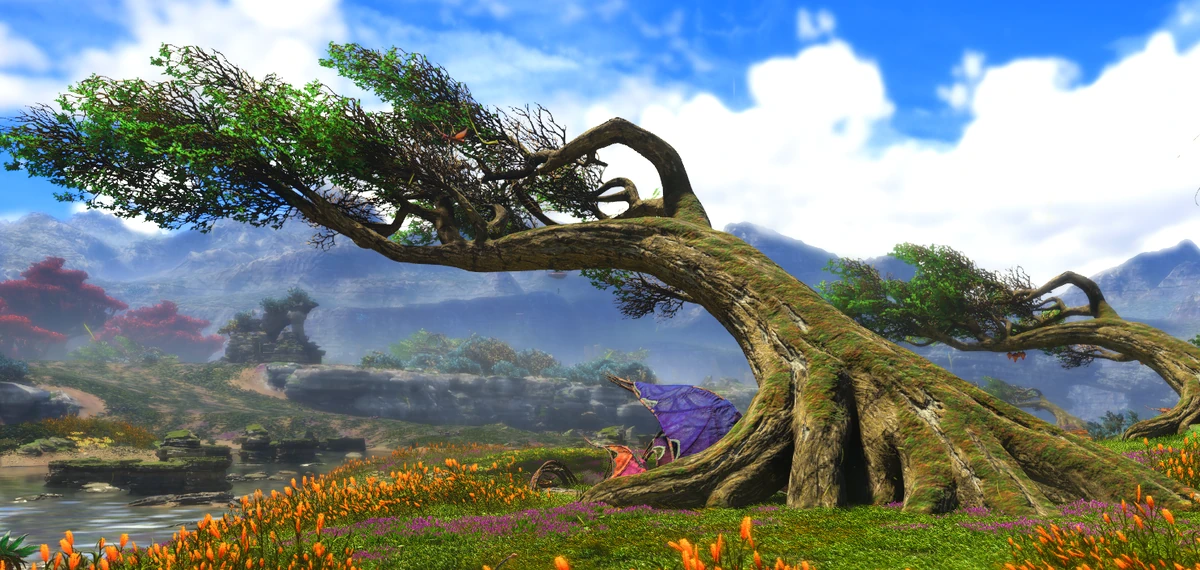 Przygięte drzewo | Avatar Wiki | Fandom