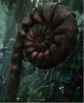 Pastorał | Avatar Wiki | Fandom