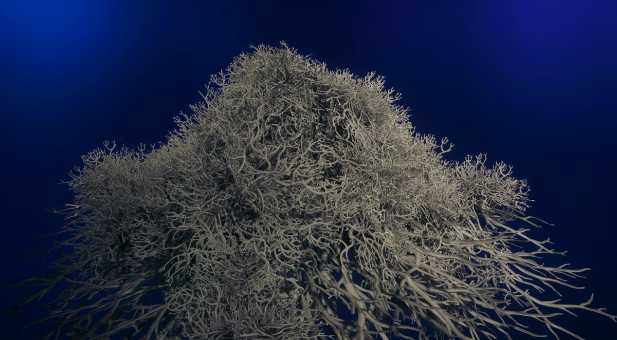 Szlakomech | Avatar Wiki | Fandom