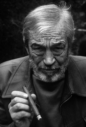 John Huston | James Bond Wiki | Fandom