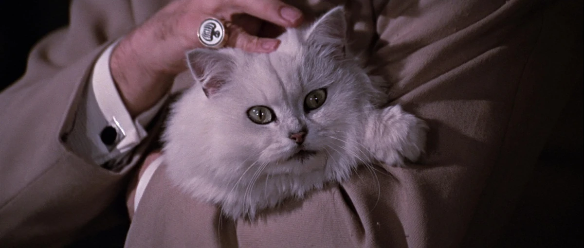 Chat de Blofeld | James Bond | Fandom