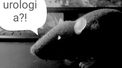 Skyfall | James Bond Wiki | Fandom