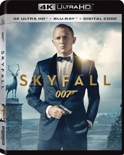 Skyfall Cover