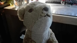 Skyfall | James Bond Wiki | Fandom