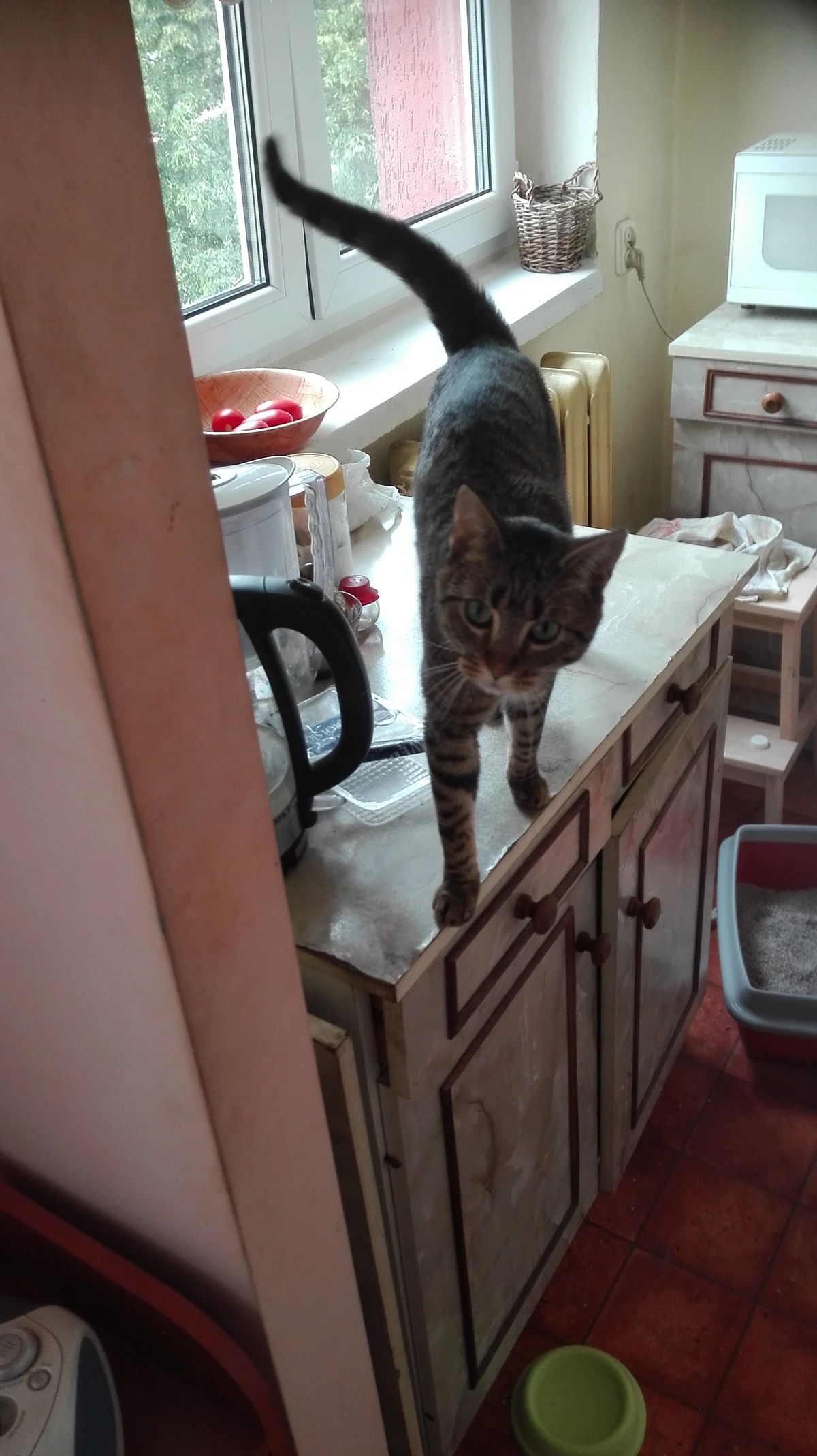 Skyfall | James Bond Wiki | Fandom