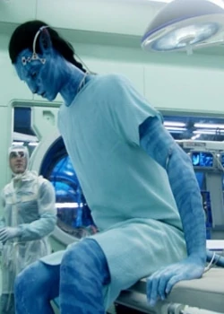 Avatar (species) | Avatar Wiki | Fandom