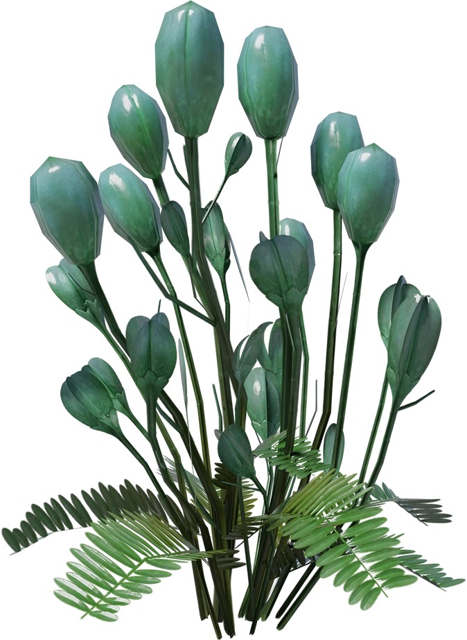 Bean Pod | Avatar Wiki | Fandom