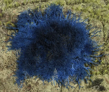 Blue Cloud Moss | Avatar Wiki | Fandom