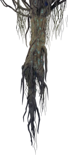 Plains Root | Avatar Wiki | Fandom