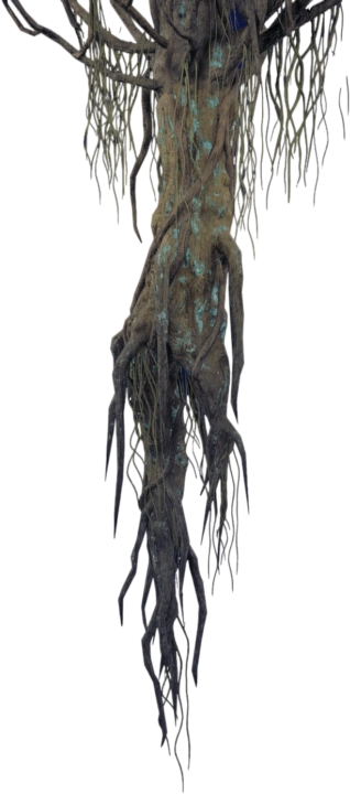 Plains Root | Avatar Wiki | Fandom