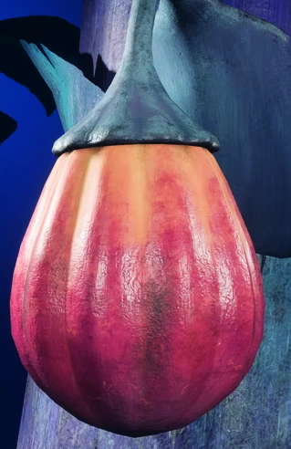 Fortune's Fruit | Avatar Wiki | Fandom