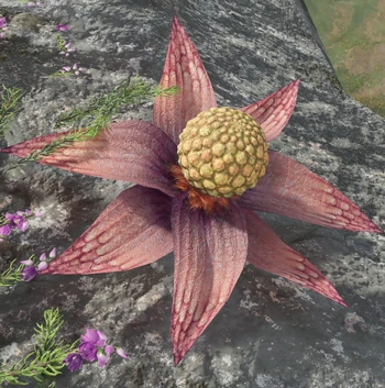 Cloud Spitter Seed | Avatar Wiki | Fandom