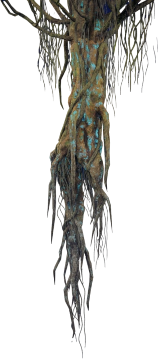 Spore Root | Avatar Wiki | Fandom