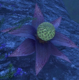 Cloud Spitter Seed | Avatar Wiki | Fandom