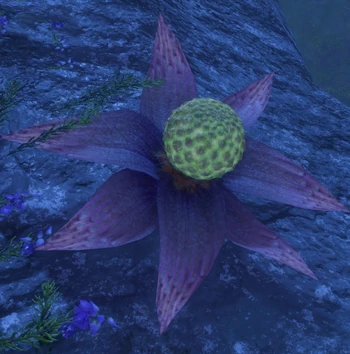 Cloud Spitter Seed | Avatar Wiki | Fandom