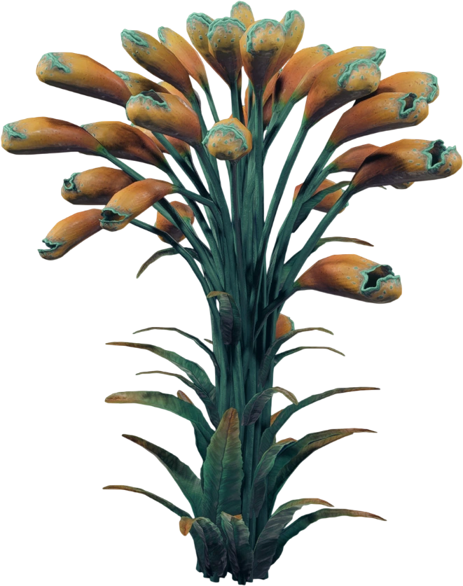 Canyon Bellsprig | Avatar Wiki | Fandom