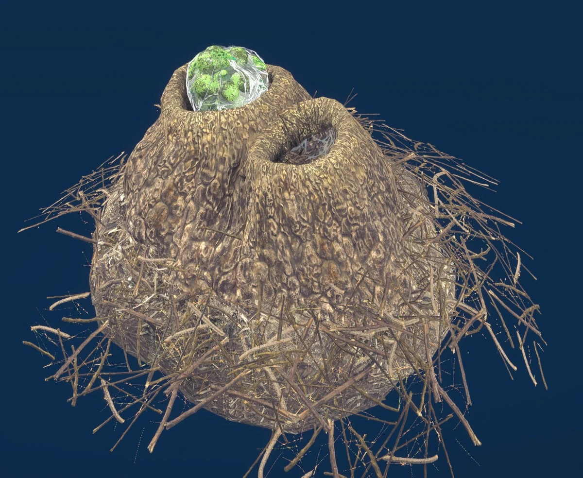 Lamp Lizard Egg | Avatar Wiki | Fandom