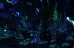 Anurai Clan | Avatar Wiki | Fandom