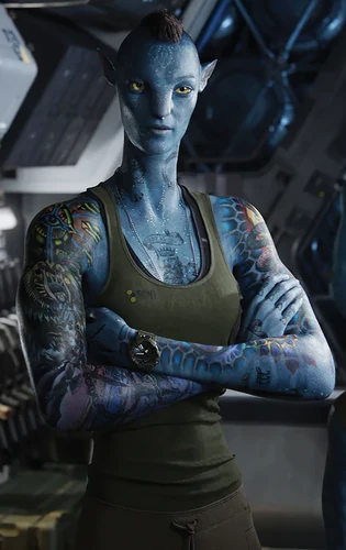 Zdinarsik | Avatar Wiki | Fandom