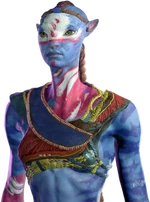 Zeswa Clan | Avatar Wiki | Fandom